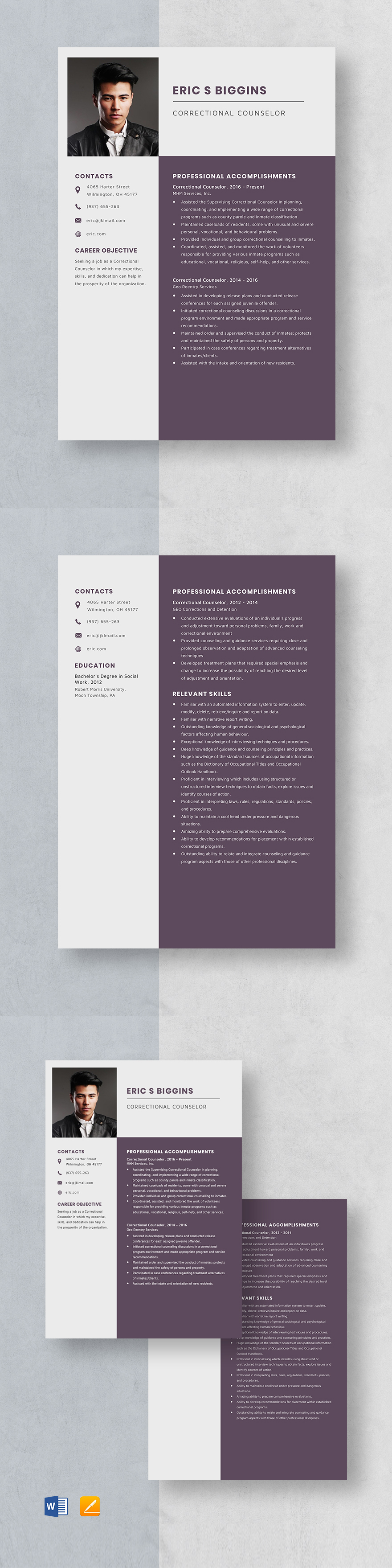 Intensive In-Home Counselor Resume Template - Word, Apple Pages ...