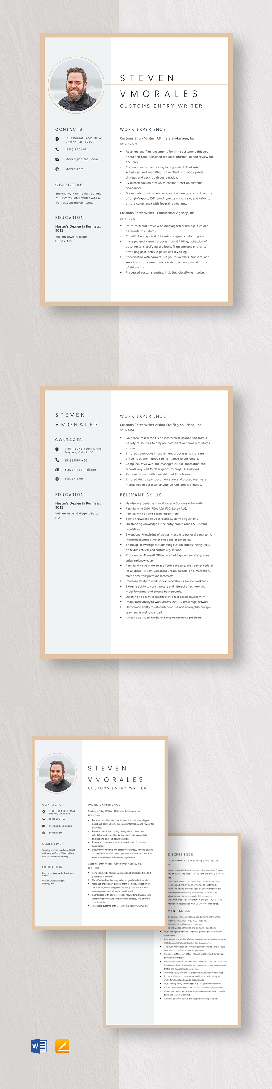 Data Entry Resume Template - Illustrator, InDesign, Word, Apple Pages ...