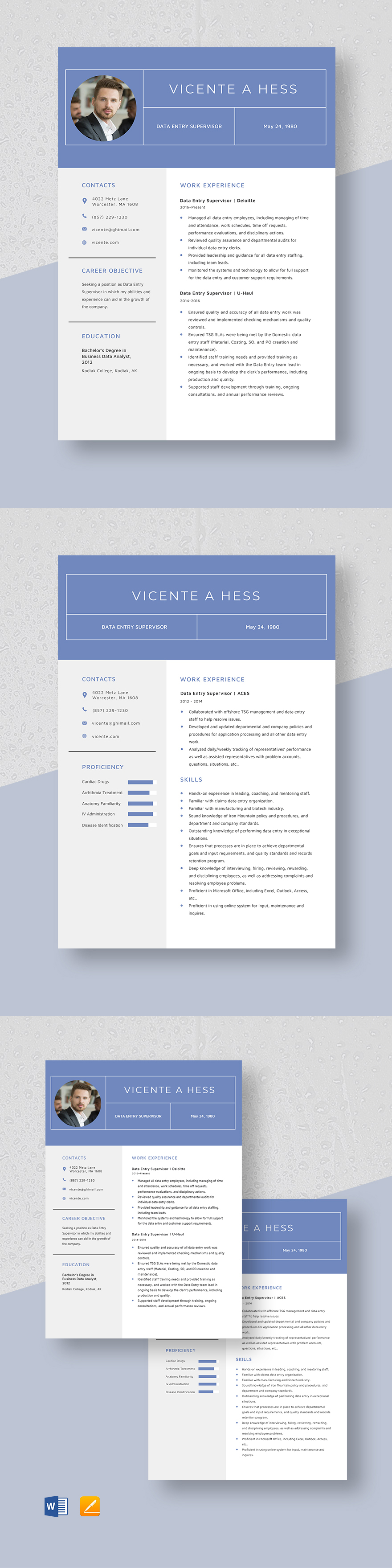 Data Entry Resume Template - Illustrator, InDesign, Word, Apple Pages ...