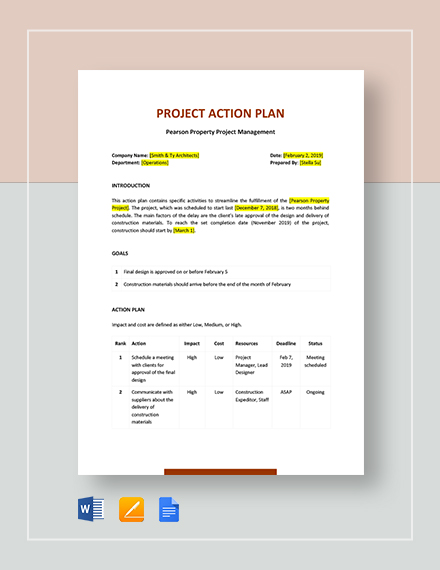 Project Action Plan Template 17 Free Word Excel PDF Format Download