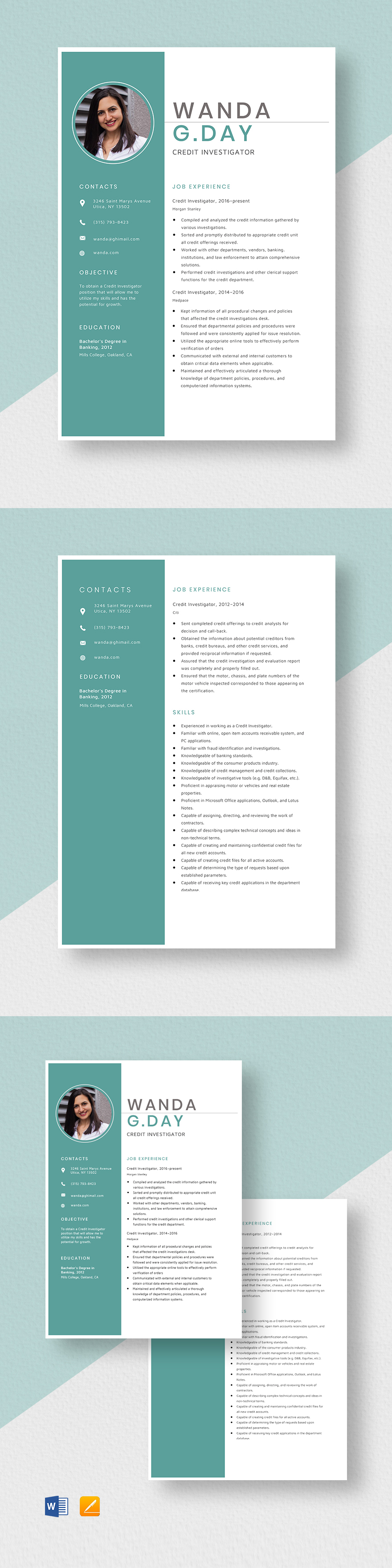 Accident Investigator Resume Template - Word, Apple Pages | Template.net