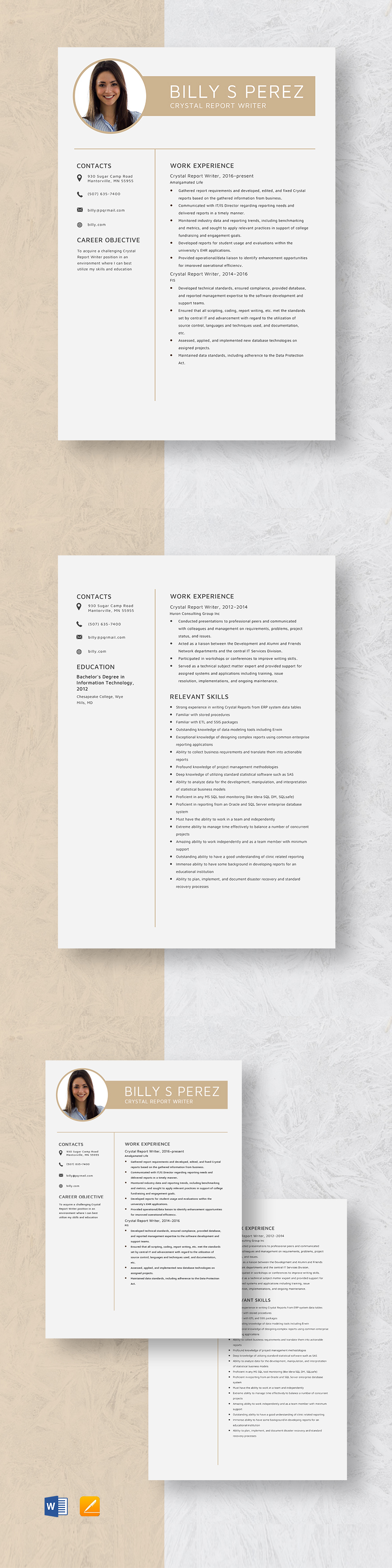 Crystal Report Writer Resume Template - Word, Apple Pages | Template.net