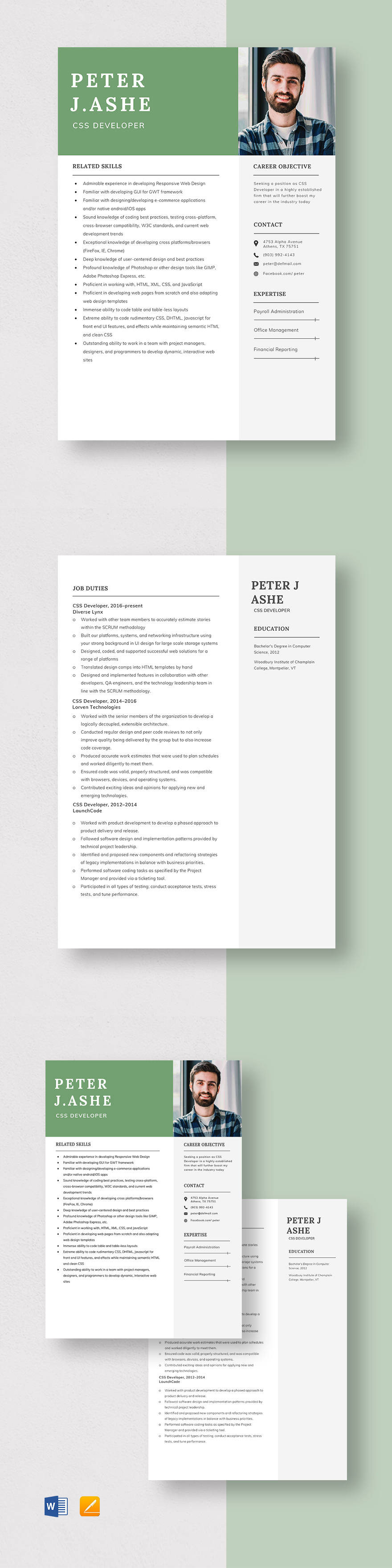 CSS Developer Resume Template - Word, Apple Pages | Template.net