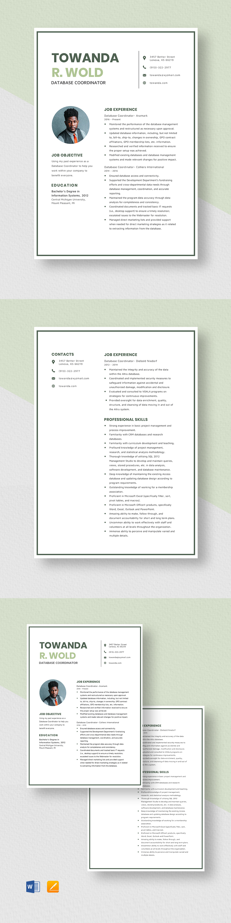 Database Architect Resume Template - Word, Apple Pages | Template.net