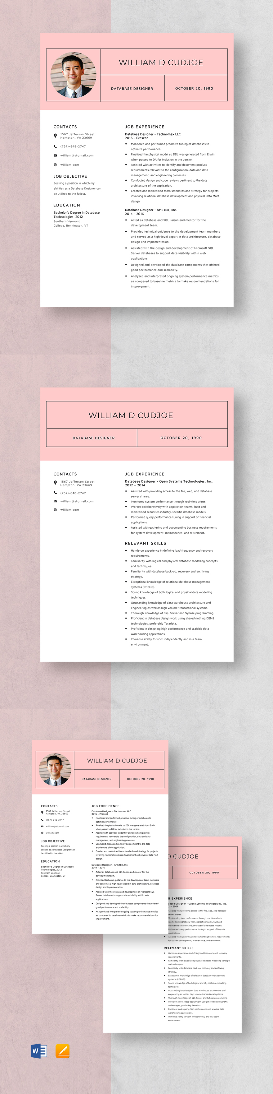 Database Architect Resume Template - Word, Apple Pages | Template.net