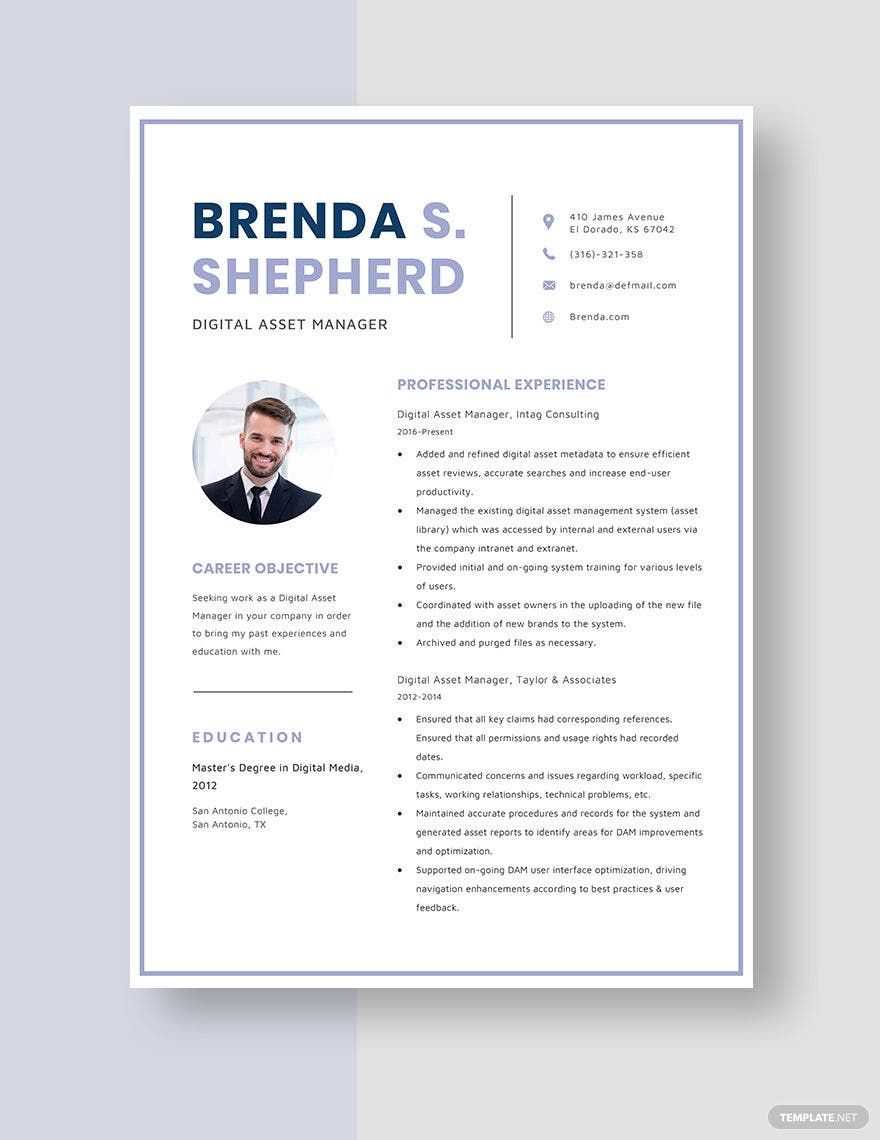 Digital Asset Manager Resume In Pages Word Download Template