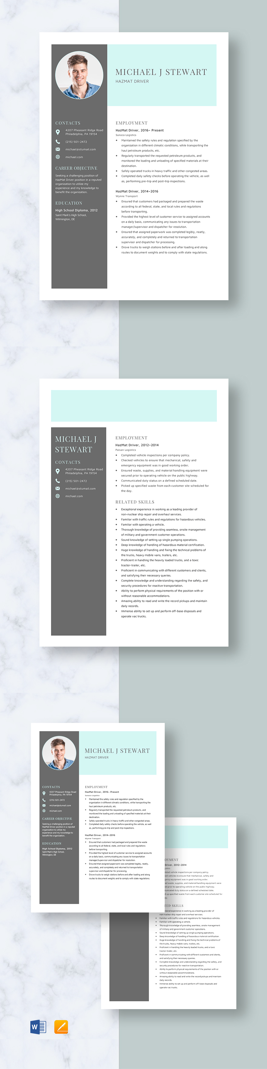 Professional Driver Resume Template - Word, Apple Pages, PDF | Template.net
