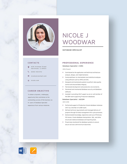 Database Programmer Resume - Download in Word, Apple Pages | Template.net