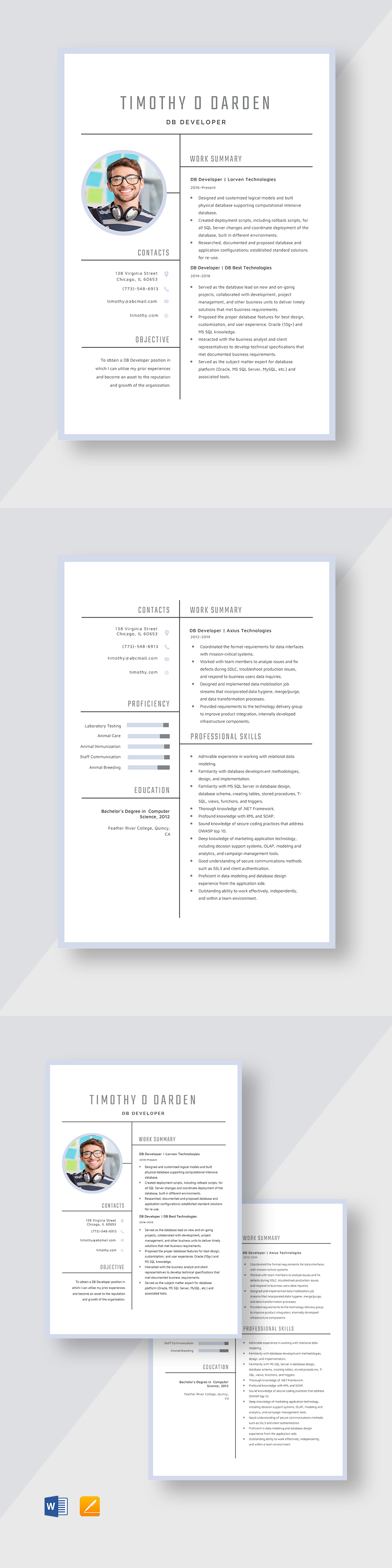 DB Developer Resume Template - Word, Apple Pages | Template.net