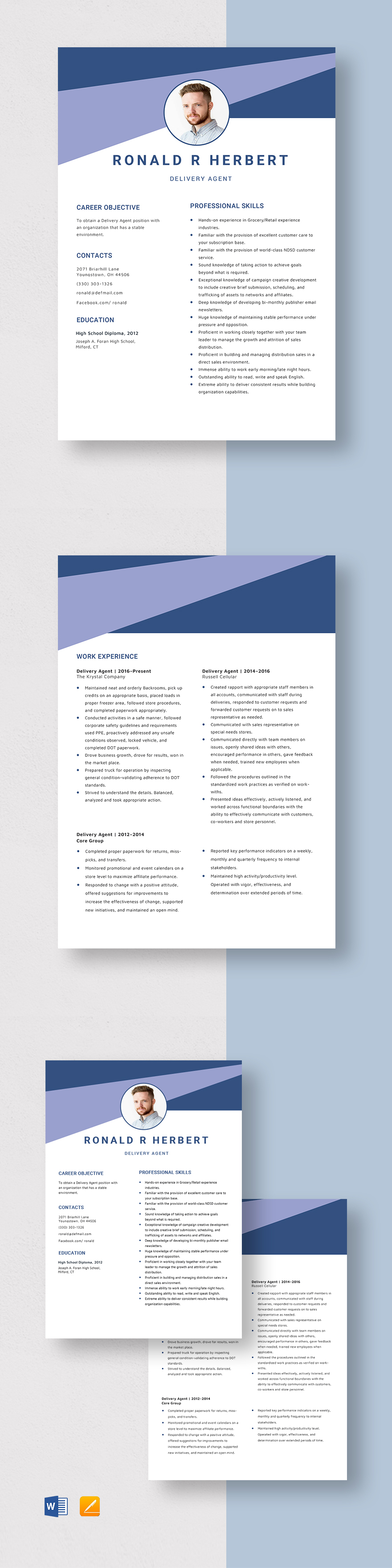 Free Delivery Agent Resume Template - Word, Apple Pages | Template.net