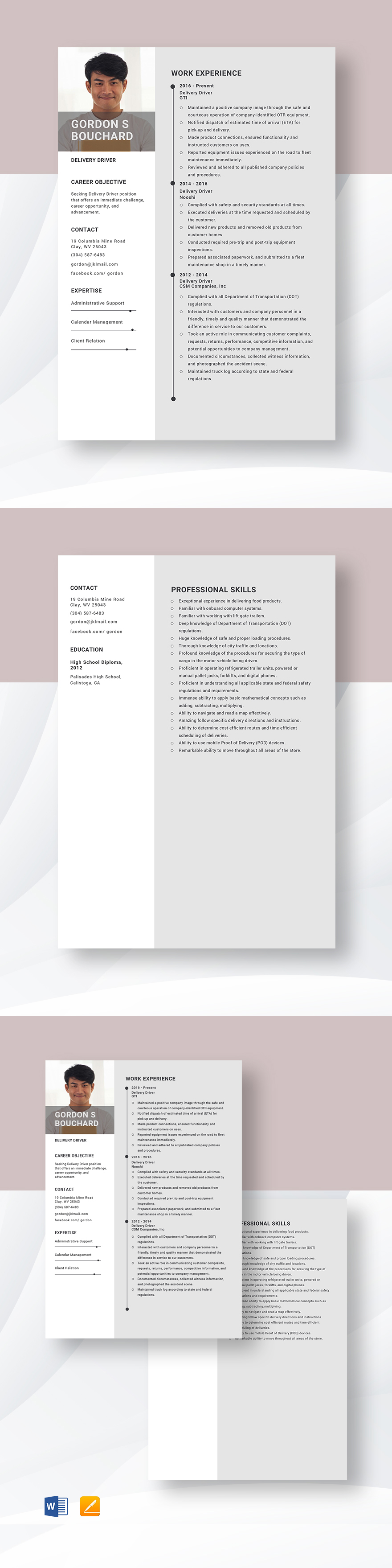 Home Delivery Driver Resume Template - Word, Apple Pages | Template.net