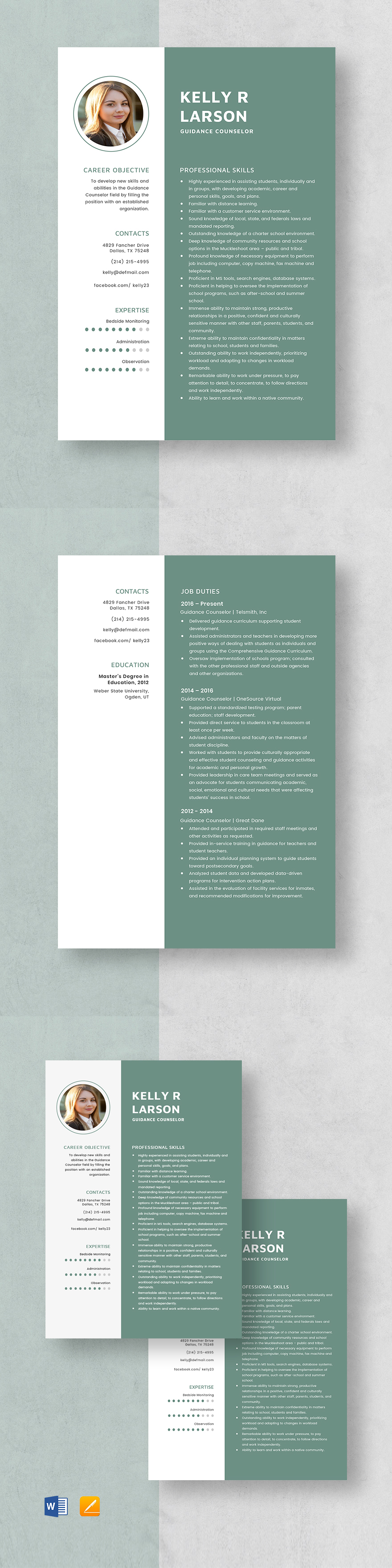 Free Guidance Counselor Resume Template - Word, Apple Pages | Template.net