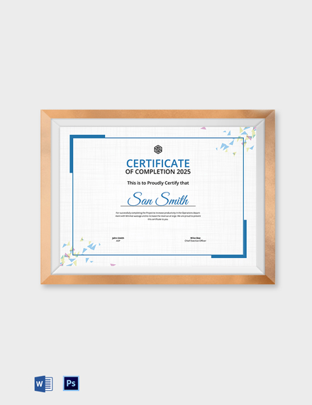 Professional Certificate Template - 9+ Free PDF, PSD, Vector, Eps ...