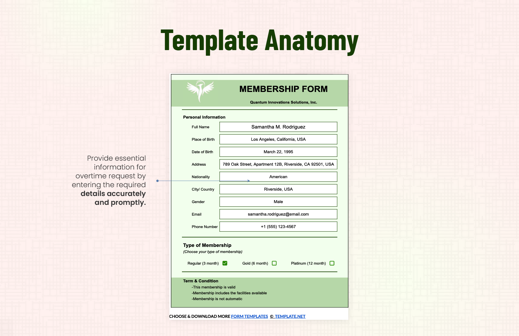 Form Template in MS Excel, Google Sheets - Download