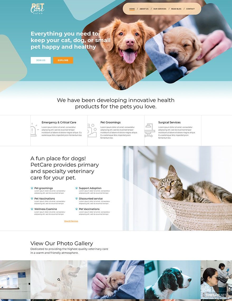 Pet Care WordPress Theme Template In Wordpress Download Template