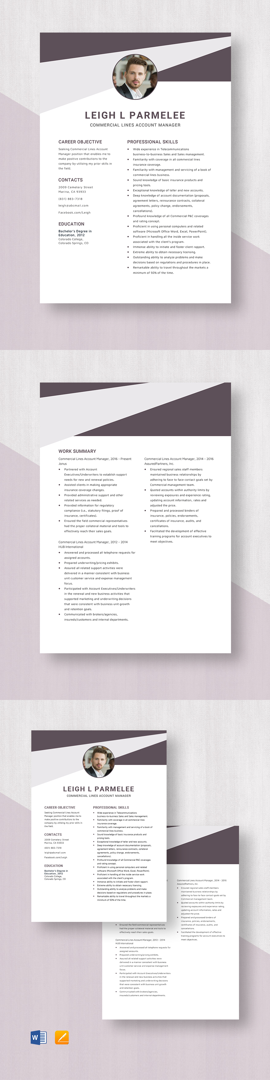 Insurance Personal Lines Account Manager Resume Template Word Apple insurance-personal-lines-account-manager-resume-template-word-apple
