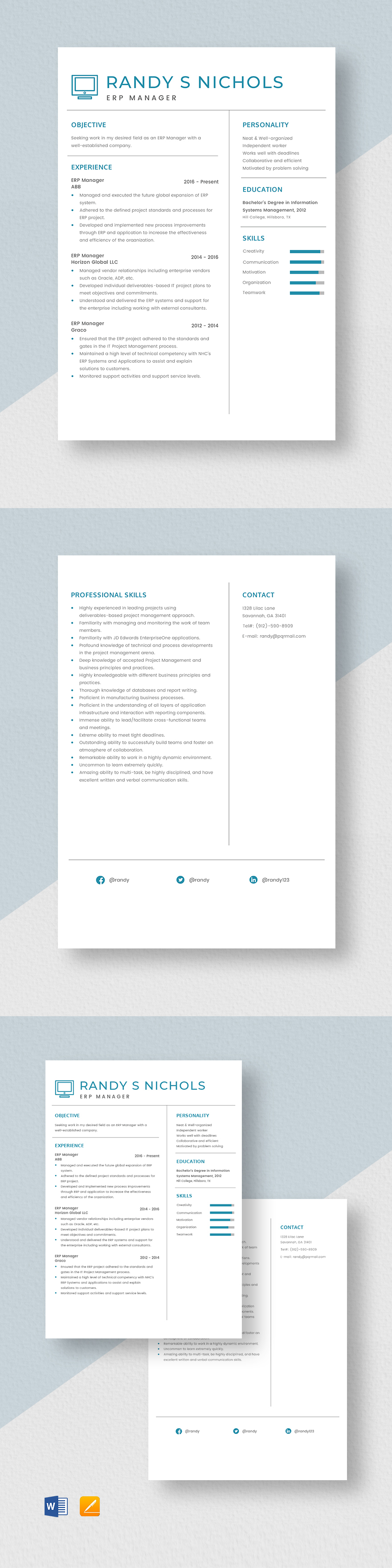 Free ERP Manager Resume Template - Word, Apple Pages | Template.net