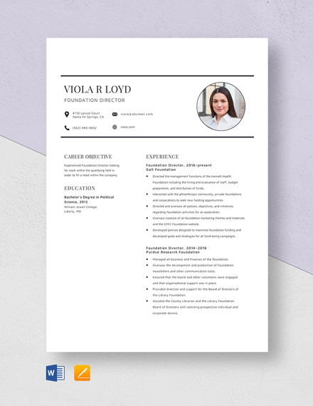 Free Foundation Executive Director Resume - Download in Word, Apple ...