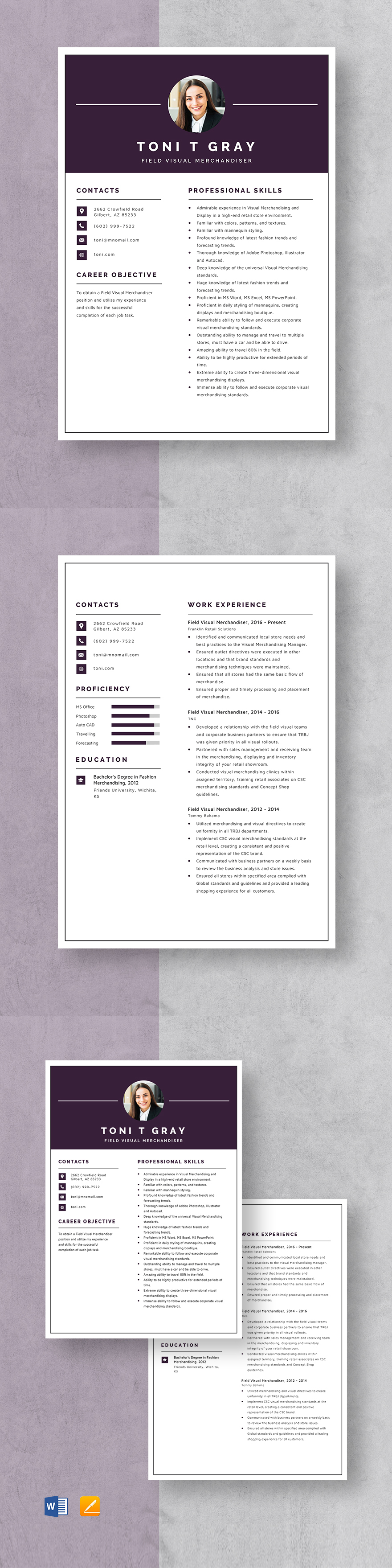 Senior Audio Visual Project Manager Resume Template - Word, Apple Pages ...