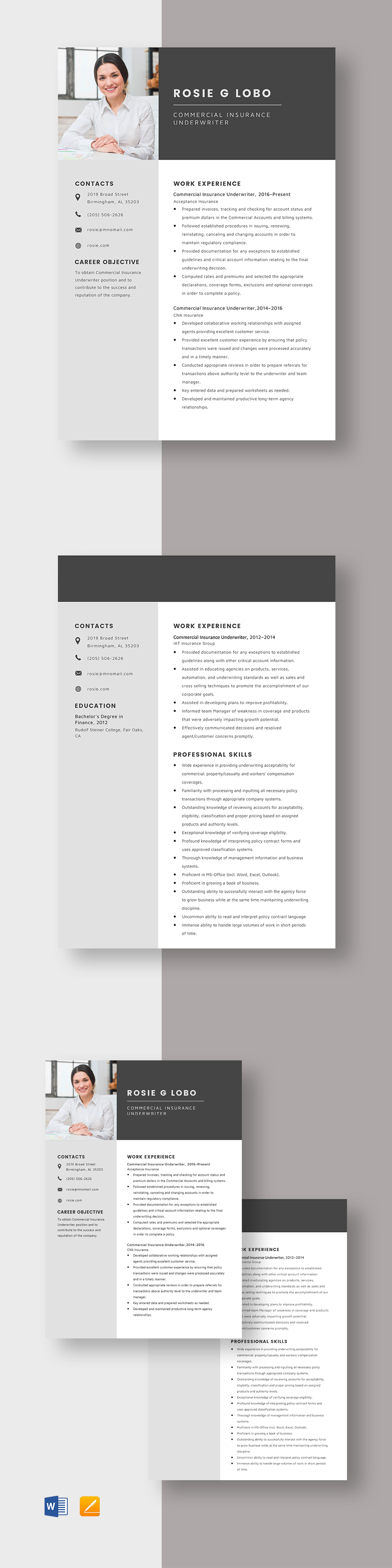 Commercial Insurance Underwriter Resume Template - Word, Apple Pages ...