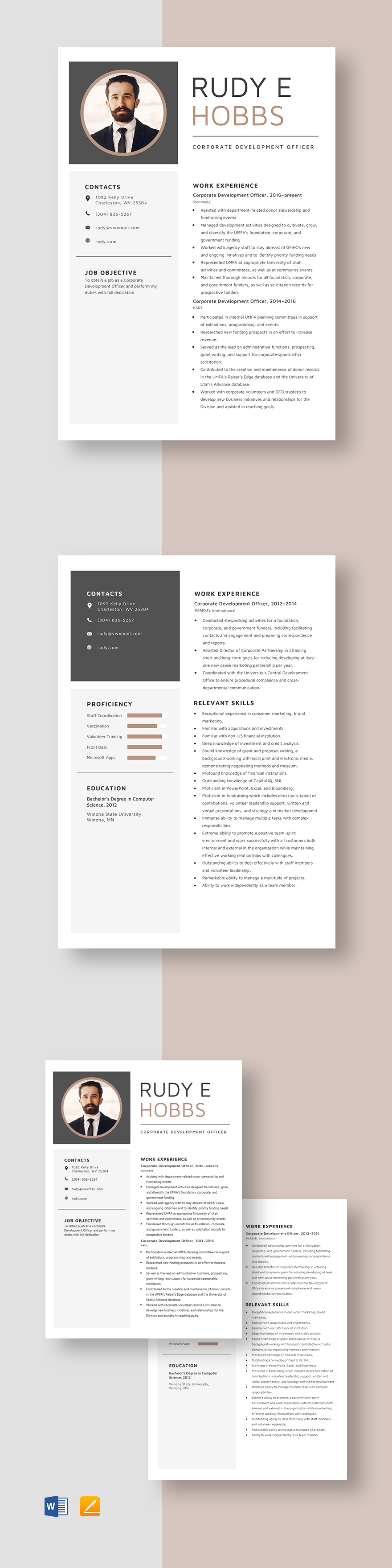 Business Development Officer Resume Template - Word, Apple Pages ...