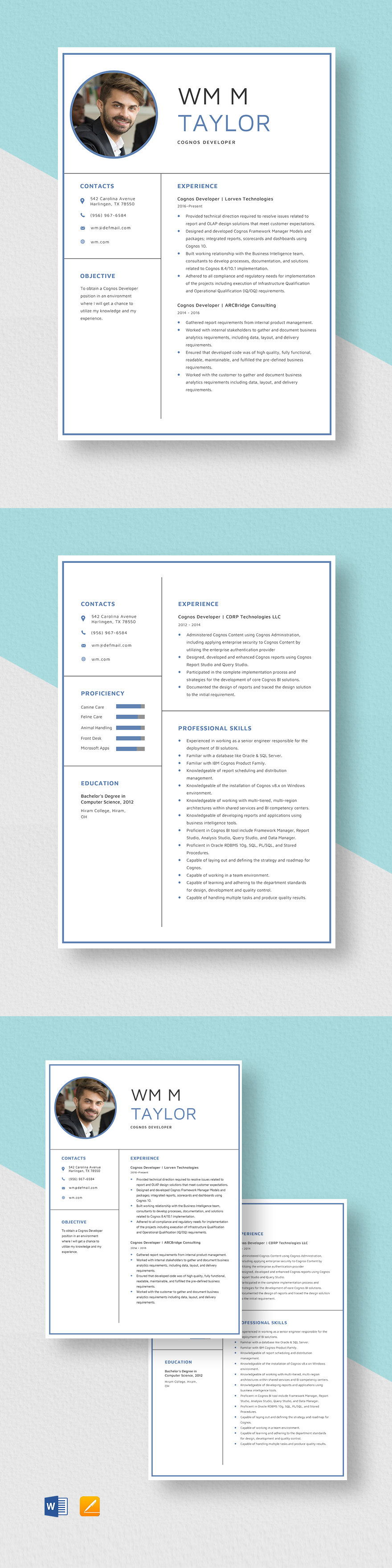Free Software Developer Resume Template Template Net