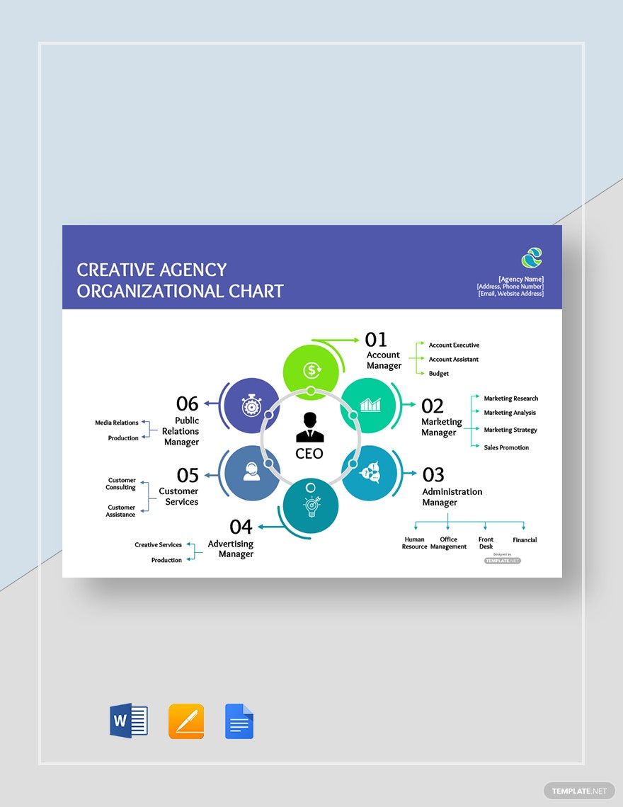 Hierarchy Organizational Chart Word Templates Design Free Download Template