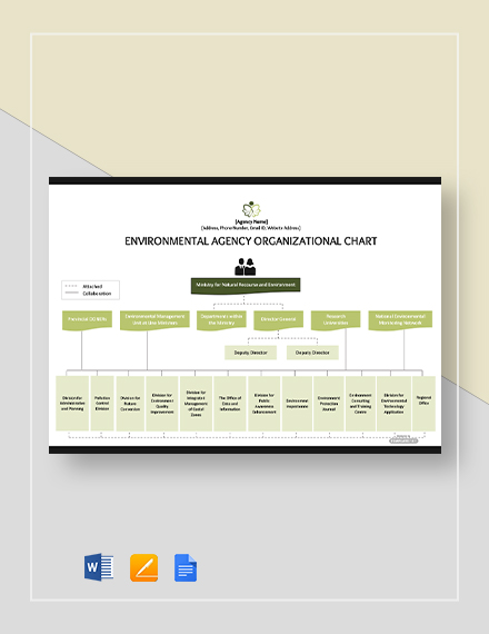 Insurance Agency Organizational Chart Template - Google Docs, Word ...