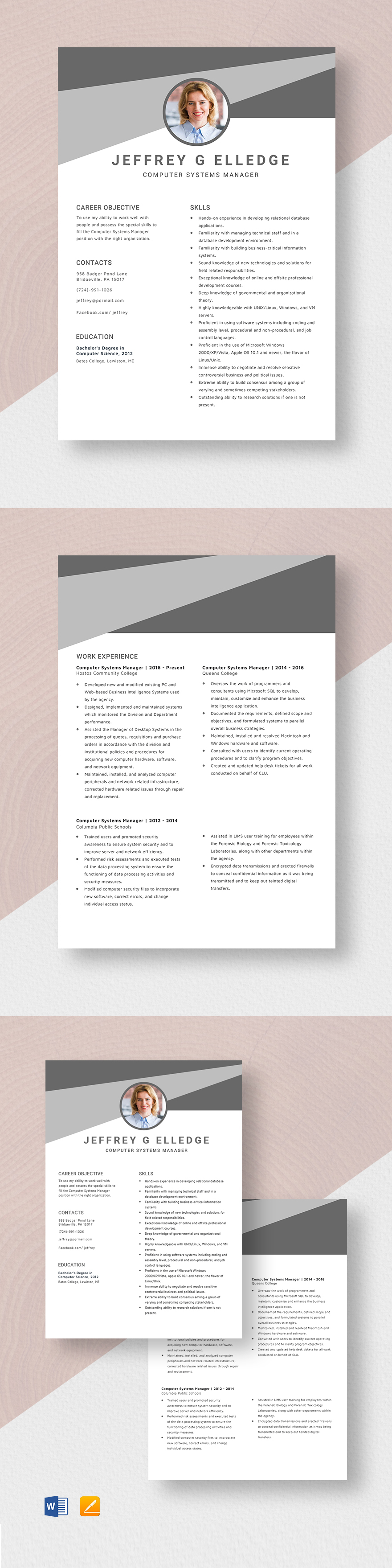 Computer Systems Manager Resume Template - Word, Apple Pages | Template.net
