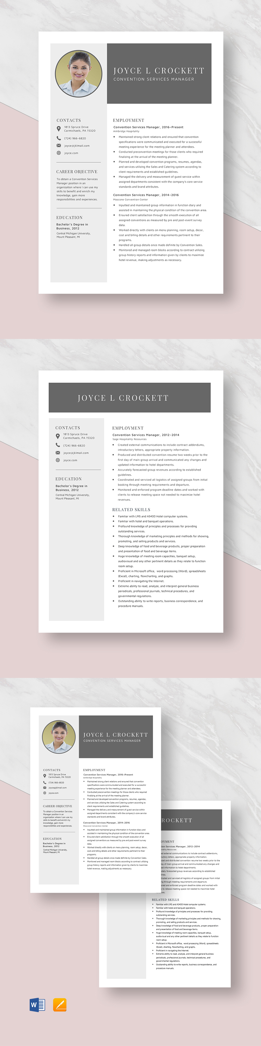 Professional Services Manager Resume Template - Word, Apple Pages ...