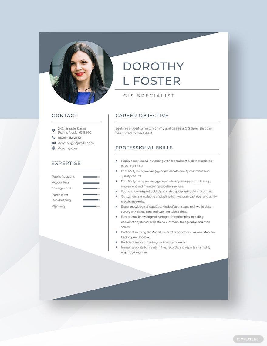 FREE GIS Resume Template Download In Word Apple Pages Template