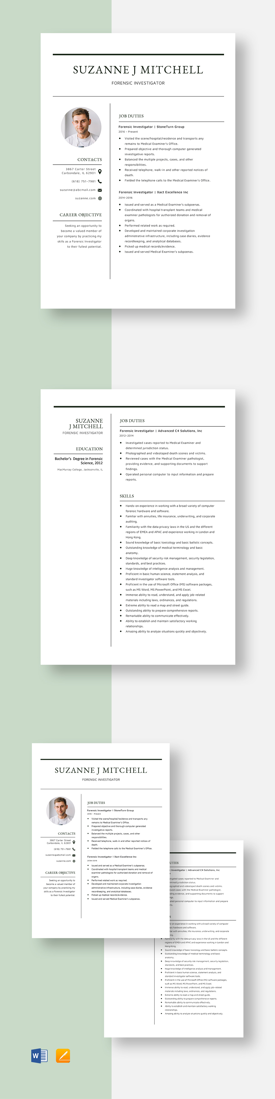 Accident Investigator Resume Template - Word, Apple Pages | Template.net