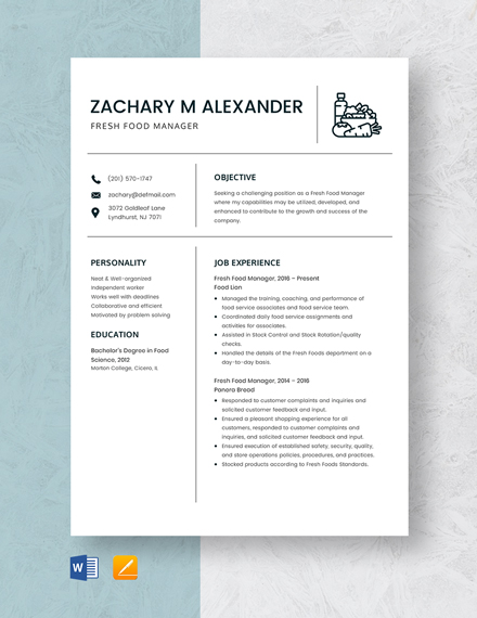 Fast Food Restaurant Manager Resume - Download in Word, Apple Pages ...