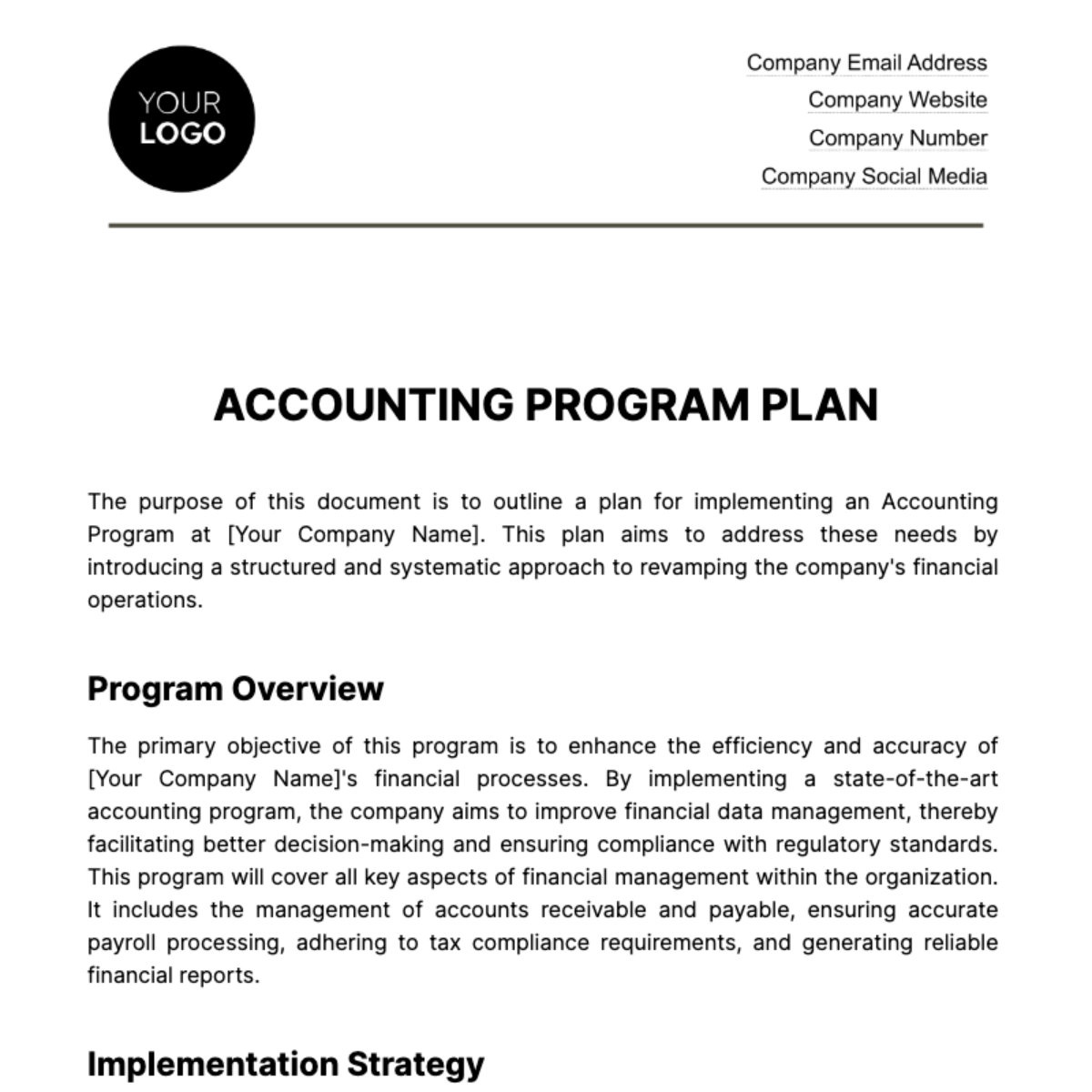 Accounting Program Plan Template Edit Online Download Example