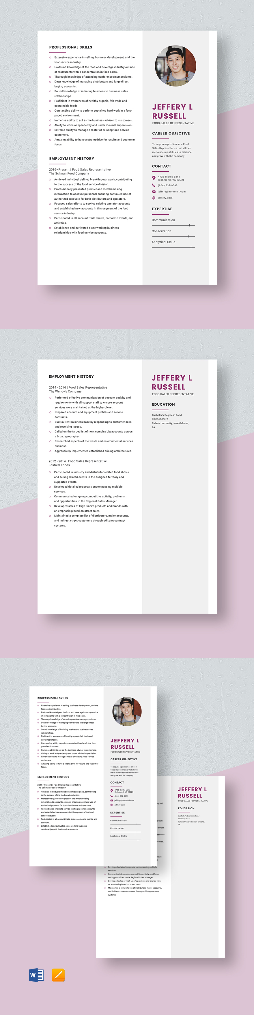 Financial Sales Representative Resume Template - Word, Apple Pages ...