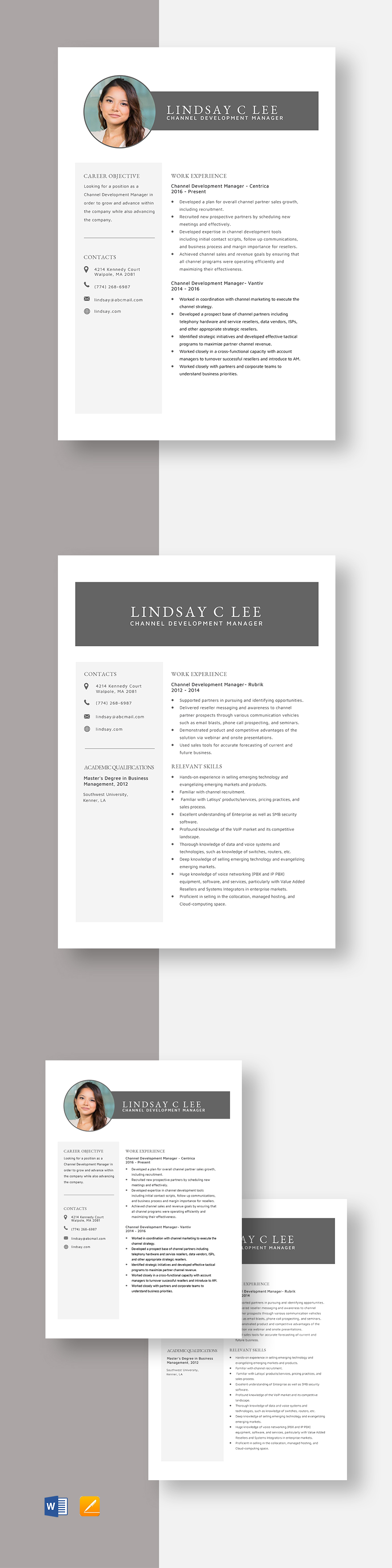 Channel Development Manager Resume Template - Word, Apple Pages ...