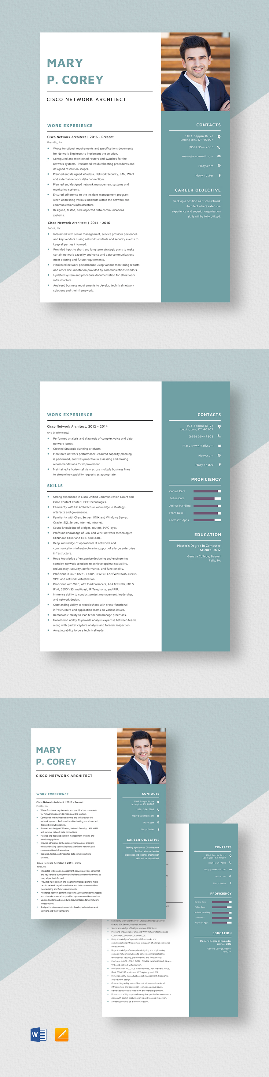 Cisco Network Architect Resume Template - Word, Apple Pages | Template.net