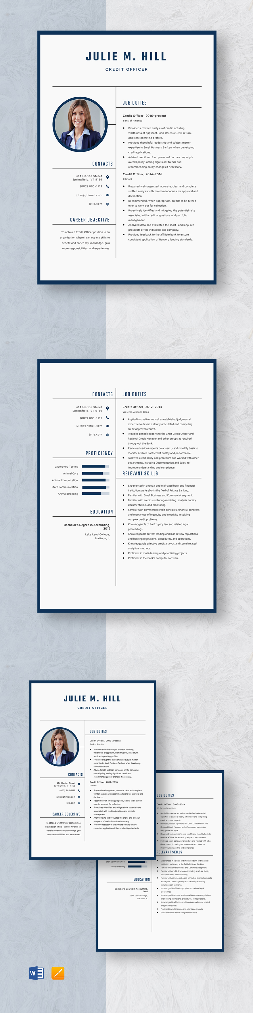 Free Credit Officer Resume Template - Word, Apple Pages | Template.net