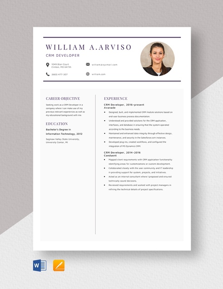 Wordpress Developer Resume - Download in PSD | Template.net