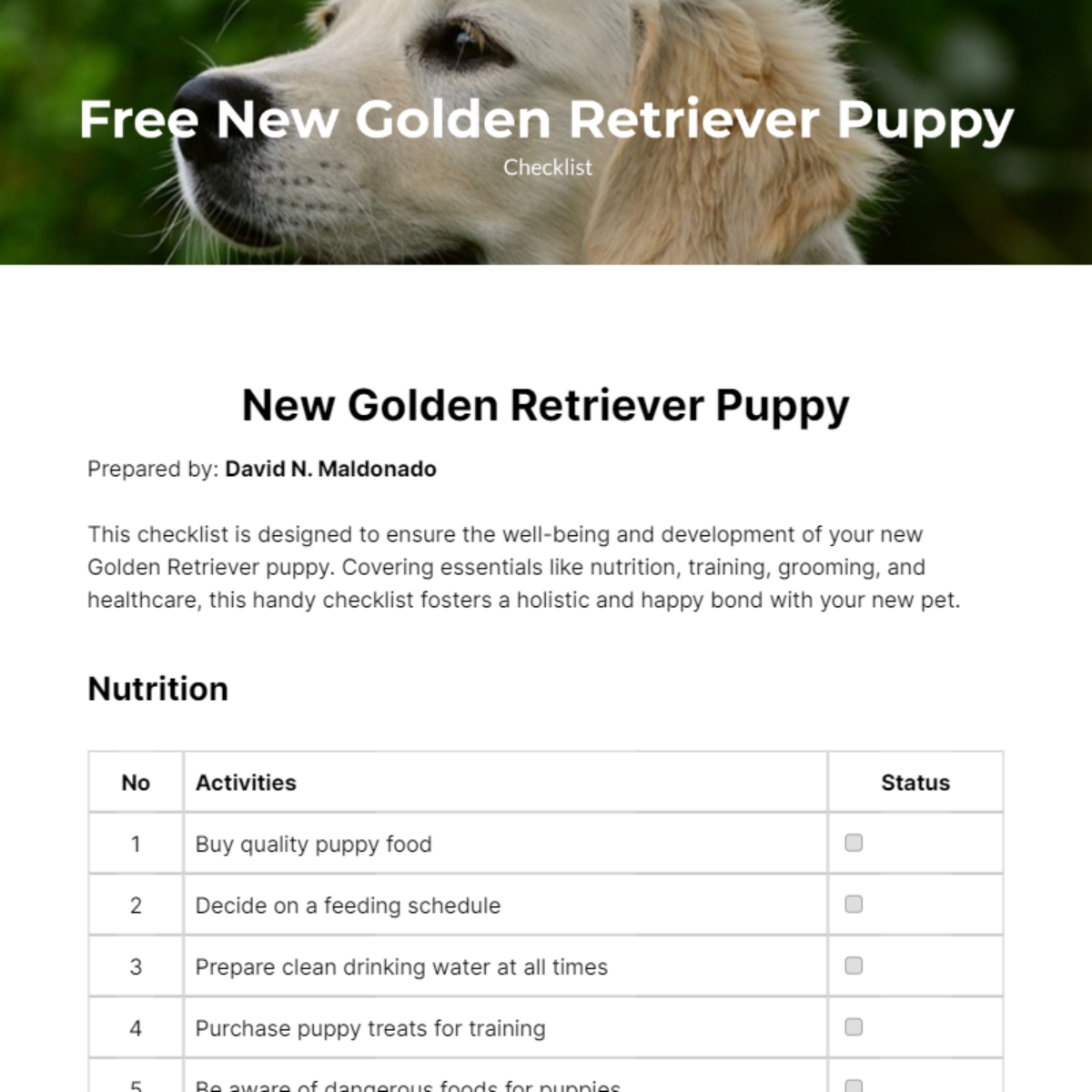 New Golden Retriever Puppy Checklist