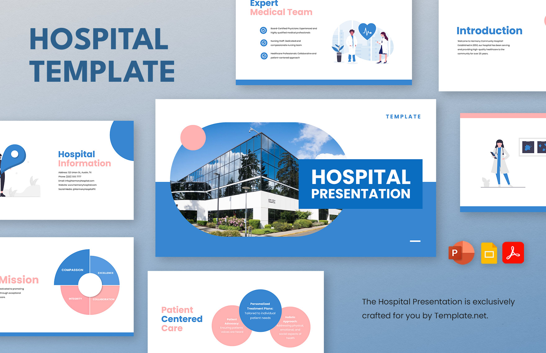 Hospital Template In PPT PDF Google Slides Download Template