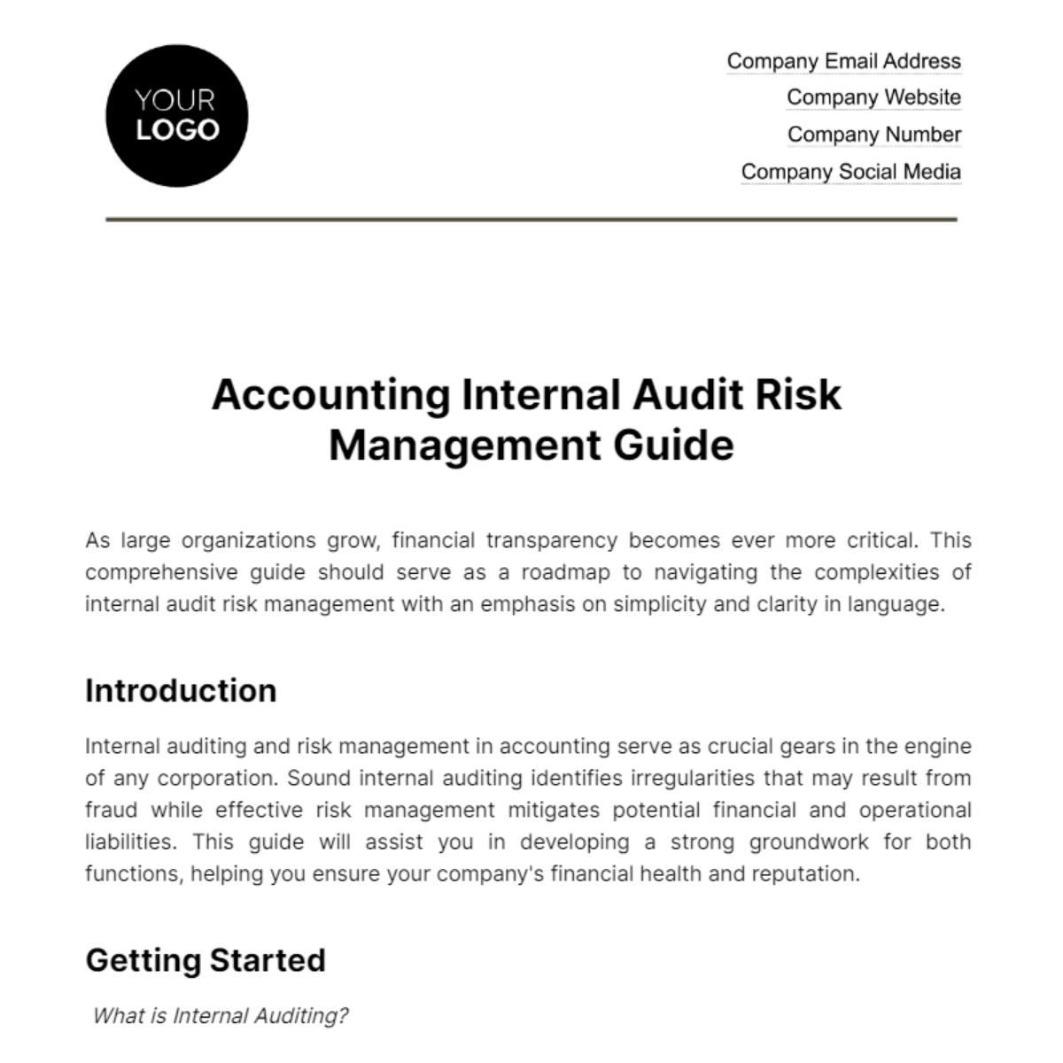 Accounting Internal Audit Risk Management Guide Template - Edit Online ...