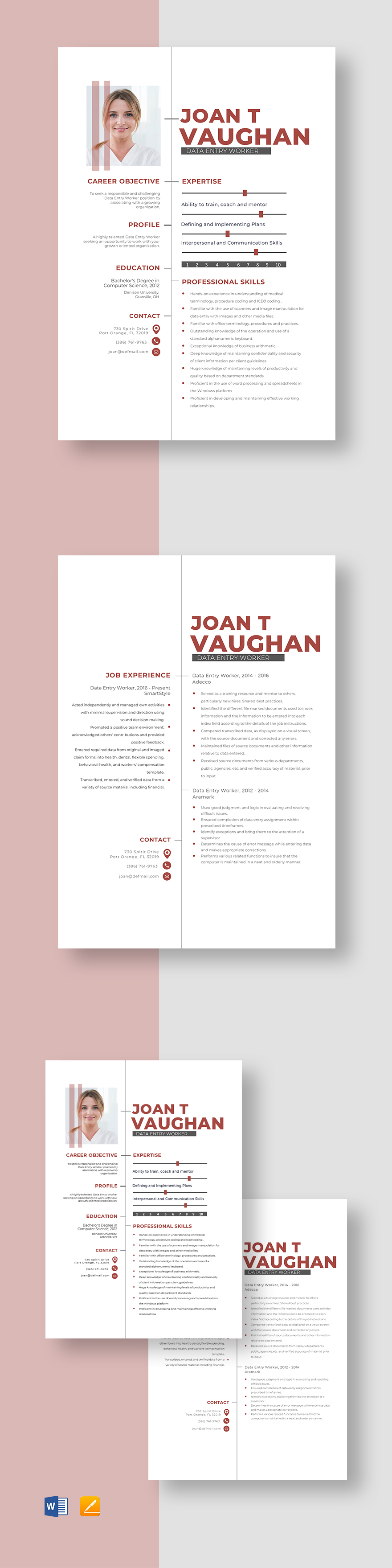 data-entry-worker-resume-template-word-apple-pages-template