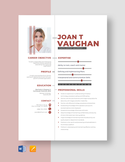 Free Entry Level Resume Template - Download In Word 