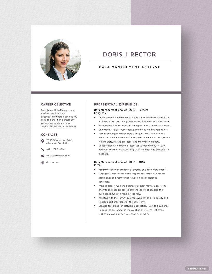 Data Management Analyst Resume Word Apple Pages Template