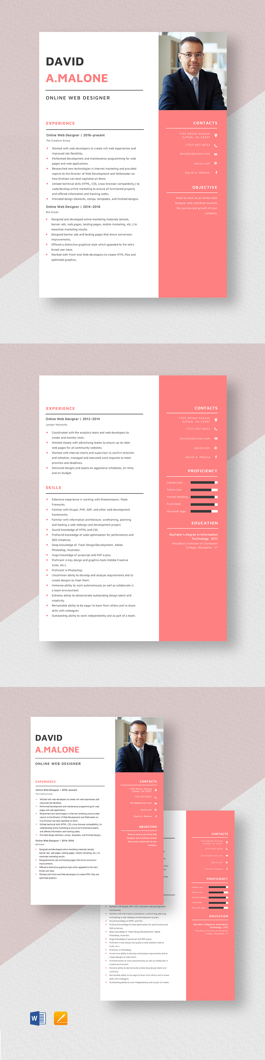 Web Designer Fresher CV Template - PSD | Template.net
