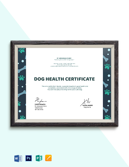 FREE Health Certificate Template Word DOC PSD InDesign Apple 