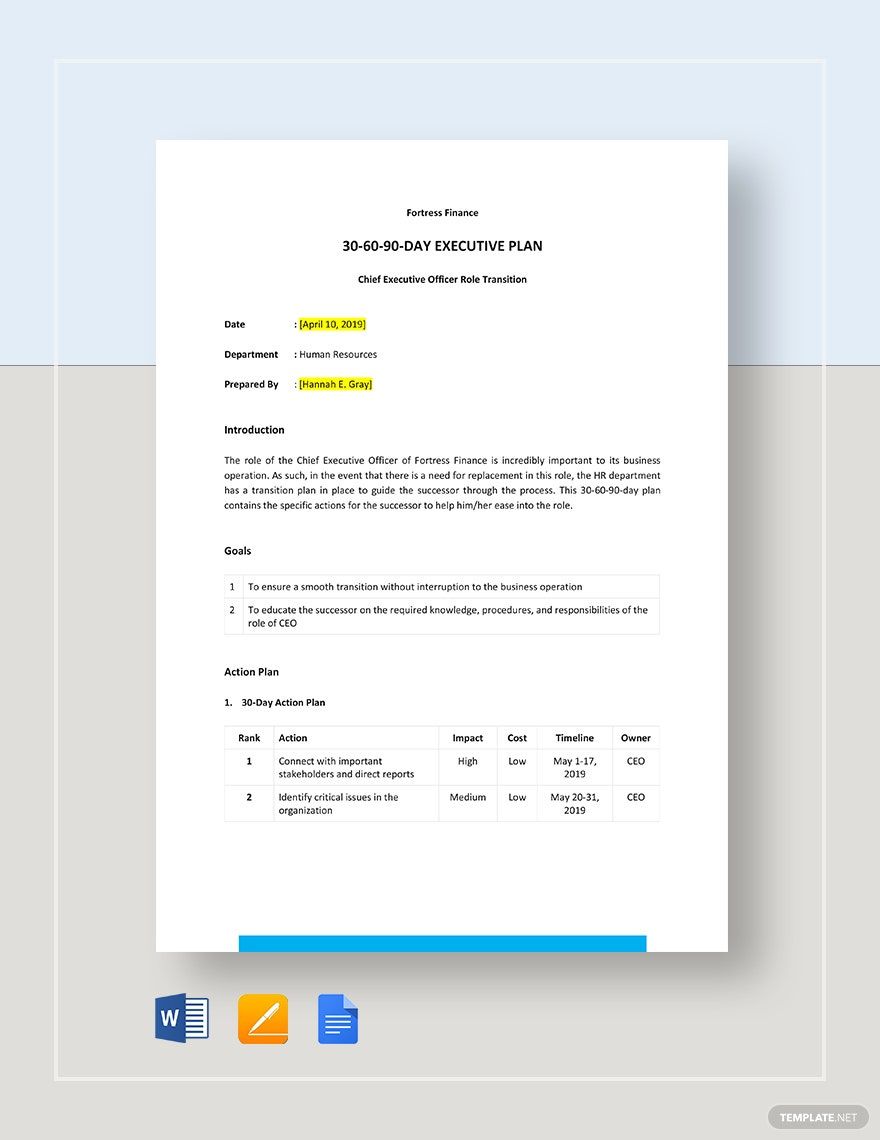 100 Day Executive Plan Template - Google Docs, Word, Apple Pages ...