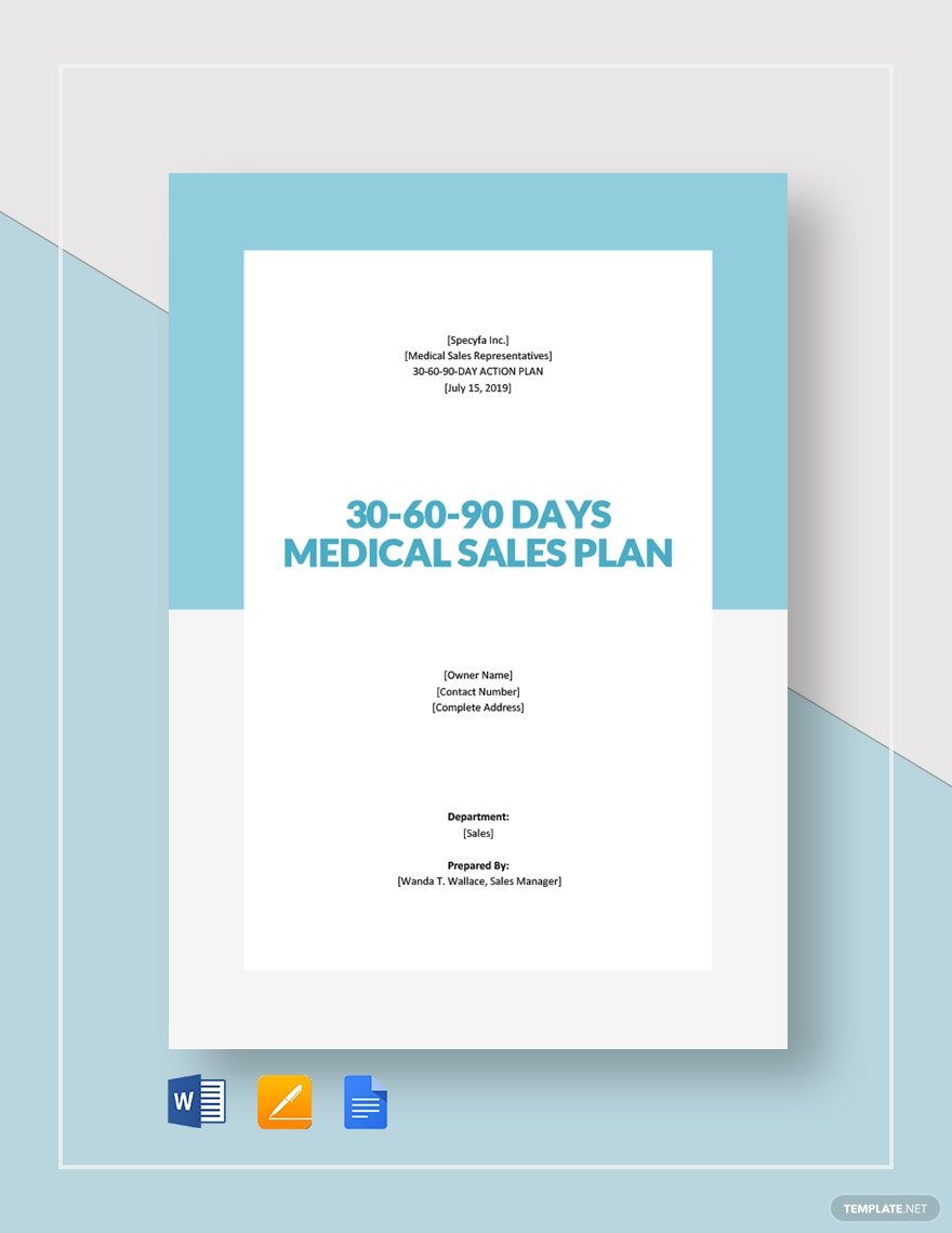 30 60 90 Day Plan Medical Sales Template Download In Word Google 