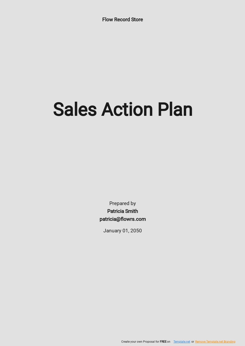 Nursing Action Plan Template [Free PDF] - Word | Google Docs